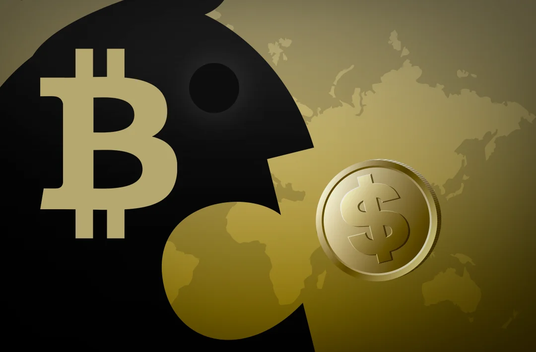 Former IMF chief economist says bitcoin’s popularity is growing in the $25 trillion shadow economy